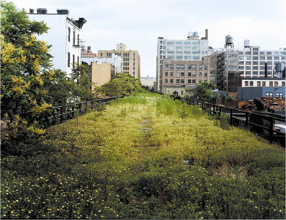West Chelsea/High Line Rezoning Plan | ULI Case Studies