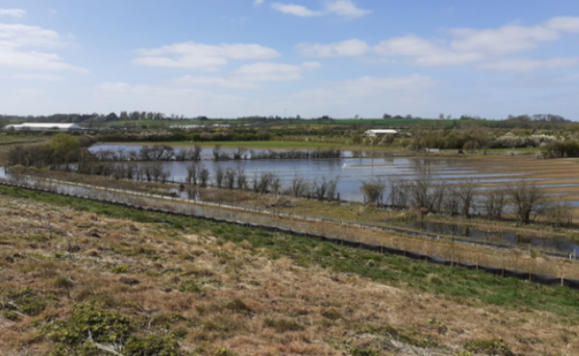 Nature Positive and Net Zero - Prologis Partners to Create a Living ...